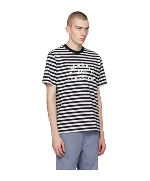 Carhartt Work In Progress Scotty Striped T-shirt