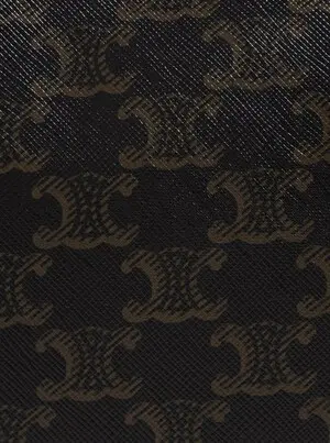 Celine Ava Bag In Triomphe Canvas And Calfskin