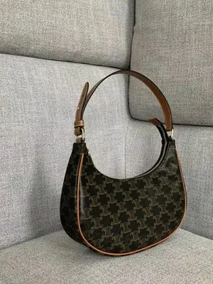 Celine Ava Bag In Triomphe Canvas And Calfskin