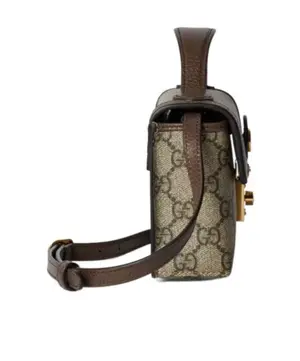 Gucci Ophidia Mini Bag - Beige/ebony