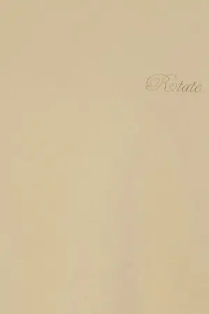 ROTATE BY BIRGER CHRISTENSEN Lace-up Sleeve Embroidered Logo Sweatshirt - Nude