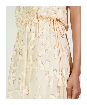 Max Mara Embellished Maxi Dress - Pink