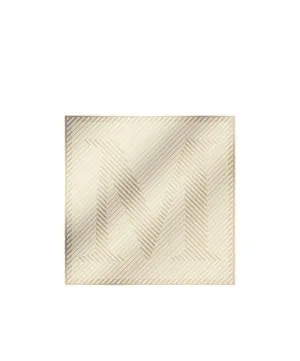 Max Mara Frayed Edge Scarf - No