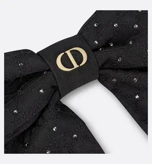 Dior Large Twist Bow Barrette