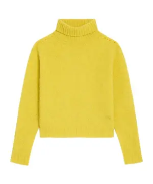 Celine Turtleneck Sweater In Shetland Wool - Yellow