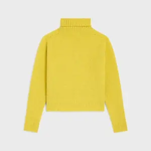 Celine Turtleneck Sweater In Shetland Wool