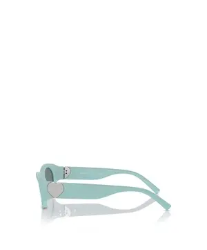 TIFFANY  CO. Tiffany & Co. Full Frame Sunglasses