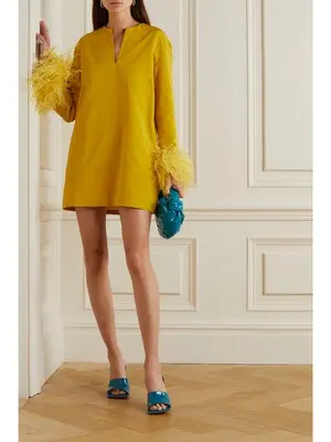 Valentino Garavani Feather-trim Long-sleeve Mini Dress