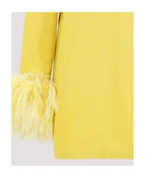 Valentino Garavani Feather-trim Long-sleeve Mini Dress