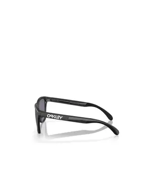 Oakley Frogskins Sunglasses - Gray
