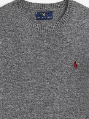 Polo Ralph Lauren Wool Sweater With Embroidered Logo