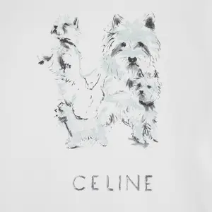 Celine Oversized Cotton Jersey T-shirt With Graphic Print