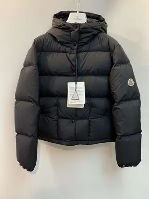 Moncler Ebre Logo Embroidered Button-up Down Jacket