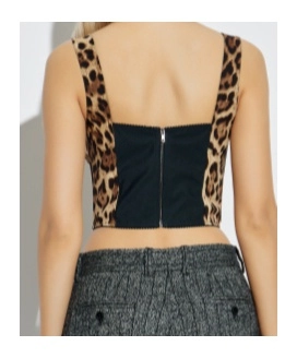 Dolce & Gabbana Leopard Print Bustier Top