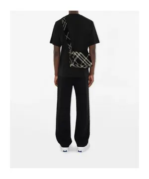 Burberry Checked Trench Crossbody Bag
