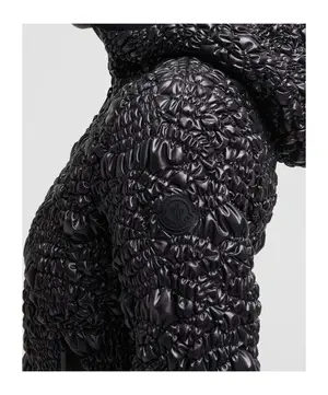 Moncler Champraz Short Down Jacket