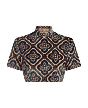 Etro Paisley Print Cropped High Neck Top
