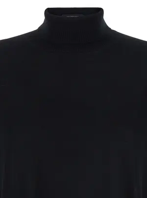 Max Mara Long-sleeved Turtleneck Jumper