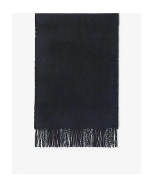 Burberry Check-printed Fringed-edge Reversible Scarf