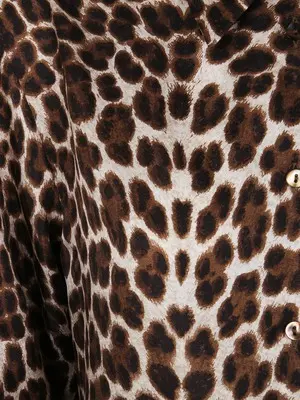 P.a.r.o.s.h Leopard Print Silk Shirt