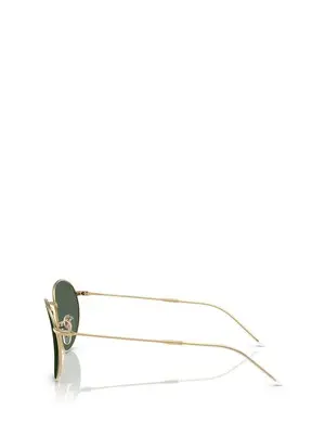 Ray-ban Round Frame Sunglasses