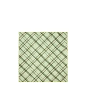 Burberry Burberry Checked Finished-Edeg Scarf Breeze