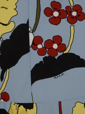 Marni Melodia Print Poplin Midi Dress