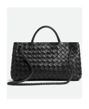 Bottega Veneta East-west Andiamo Bag