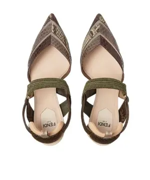 Fendi Colibrì Pointed-toe Slingback Pumps - Multicolor