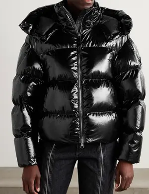 Moncler X Edward Enninful Lothar Down Jacket