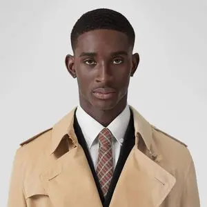 Burberry Vintage Check-patterned Pointed Tie - Brown