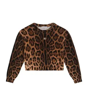 Dolce & Gabbana Leopard-print Crew-neck Pullover - Multi-color