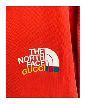 Gucci X The North Face Logo Embellished Hoodie