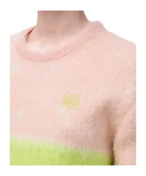 Loewe Embroidered Crewneck Jumper