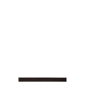 FERRAGAMO Double-sided Waistband - Black