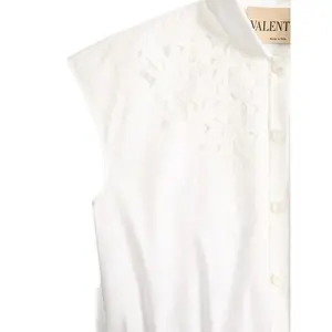 Valentino Garavani Embroidered Pleated Dress