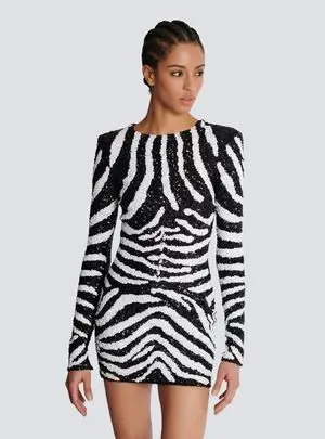Balmain Two-tone Zebra Sequin Dress