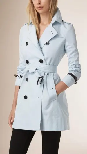 Burberry Double-breasted Trench Coat With Classic Collar