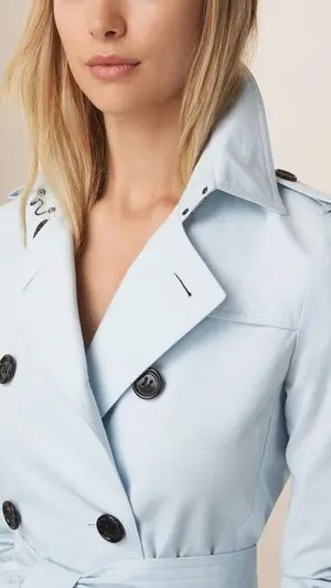 Burberry Double-breasted Trench Coat With Classic Collar