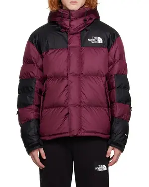 The North Face Down Hooded Jacket