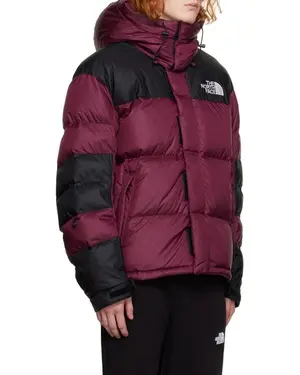 The North Face Down Hooded Jacket