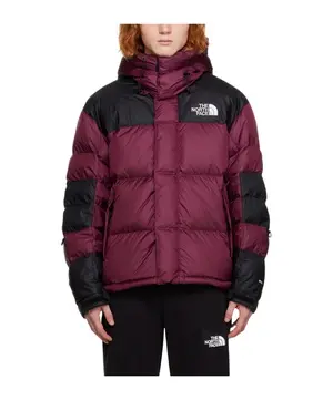 The North Face Down Hooded Jacket