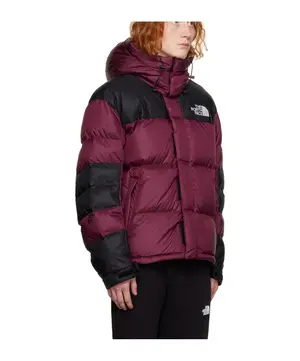 The North Face Down Hooded Jacket