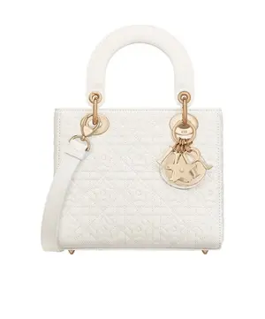 DIOR Dior Lady Bag