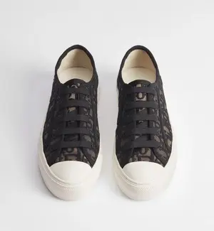 Dior Walk'n' Sneaker