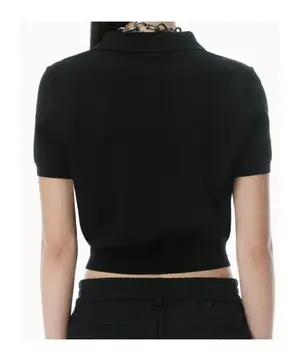 Alexander Wang 3d Logo Mesh Cropped Polo Shirt