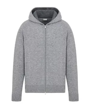 Dior Icons Hooded Sweatshirt