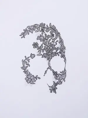 Alexander McQueen Lace Skull Crewneck T-shirt - White