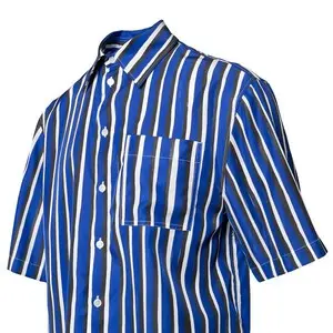Bottega Veneta Stripe Printed Shirt