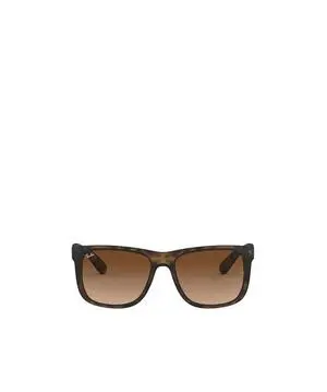 Ray-ban Ray-Ban Justin Classic Rectangular Sunglasses Brown